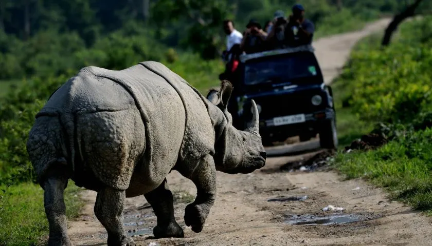 10 Best Assam Tour Packages | Go Book Tours